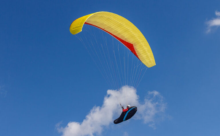 Gin Explorer 2 review (EN B)