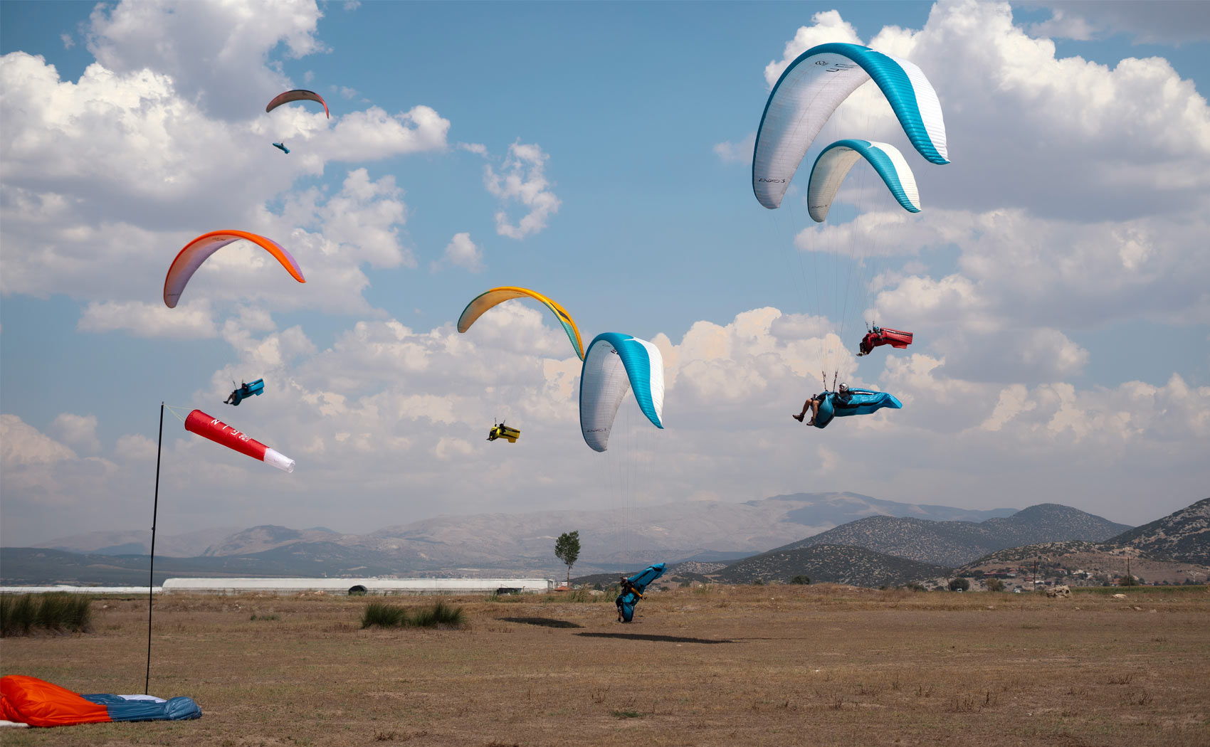 'Here's to finding your dreams' – Violeta Jimenez